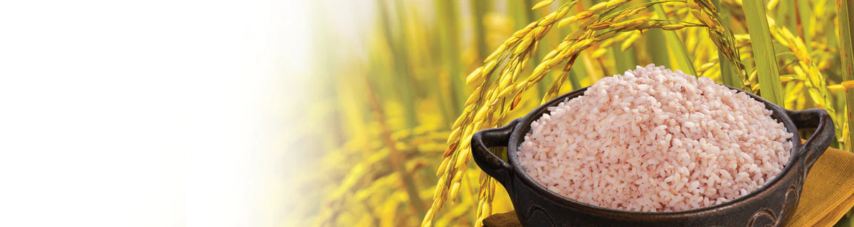 Matta Rice : Shop Online Kerala Matta Rice | BigTrolley